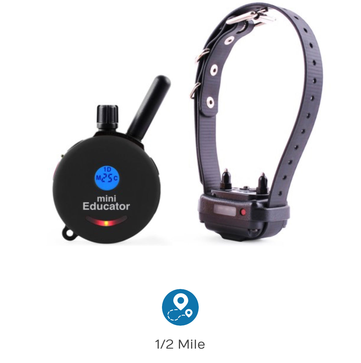 Mini educator – Bat Pig Metal