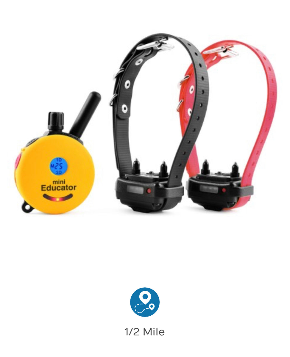 ET-302 2 dog mini educator – Bat Pig Metal